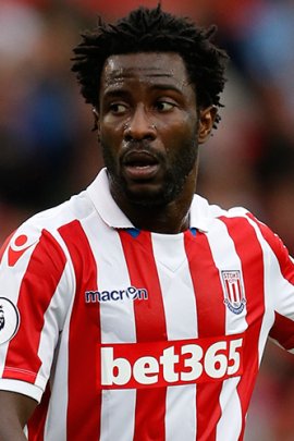 Wilfried Bony - Stats and titles won