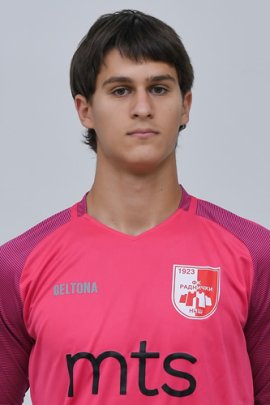 Dimitrije Stevanovic - Stats et palmarès - 25/26