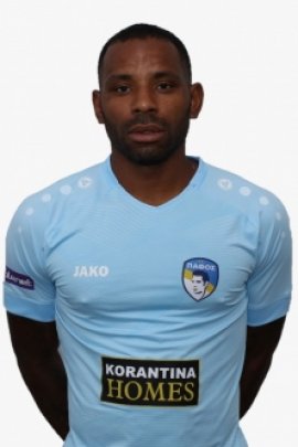 Jason Puncheon - Stats et palmarès